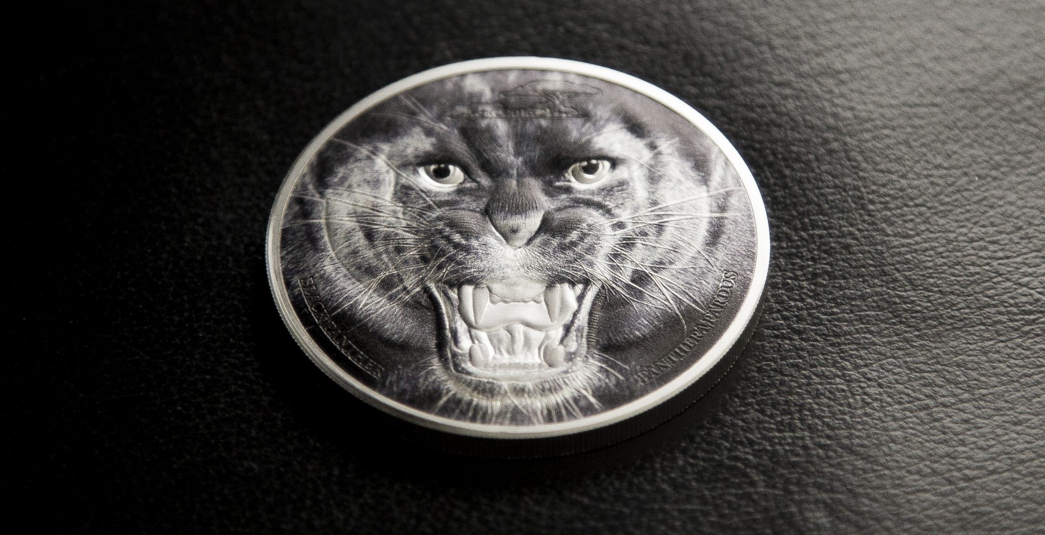 The Black Panther - NumisCollect Coin Wholesale & Project Development